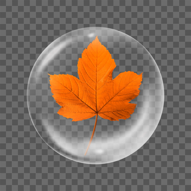 Free: Maple leaf png sticker, | Free PNG - rawpixel - nohat.cc