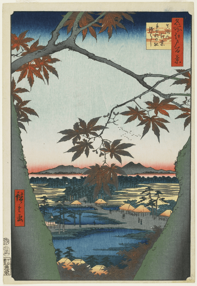 Free: Maple Trees at Mama, Tekona | Free Photo - rawpixel - nohat.cc