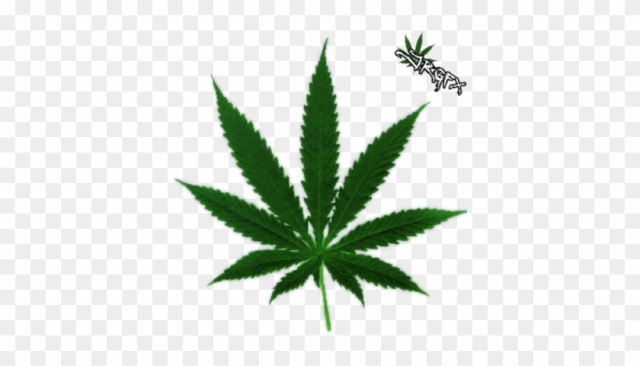 Free: Marijuana Leaf Clip Art - Cannabis Leaf - nohat.cc