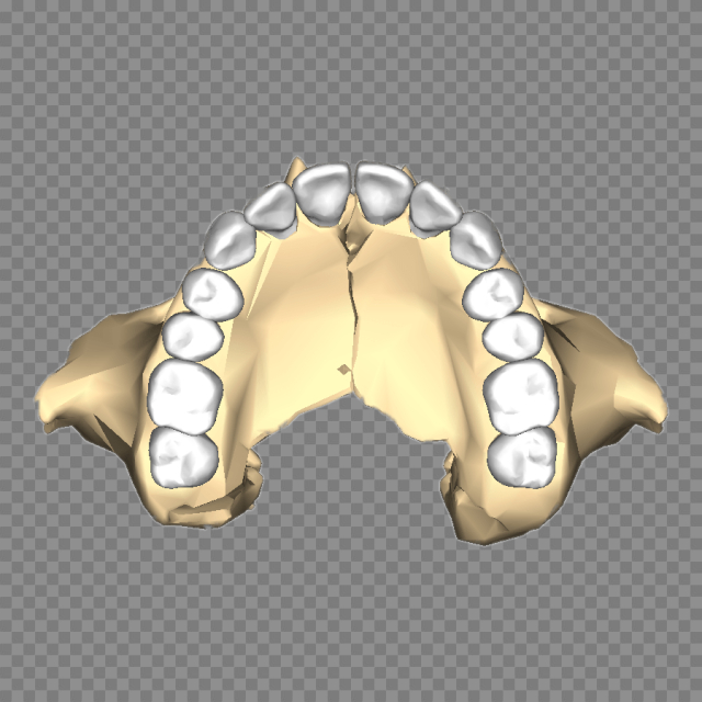 Free: Maxilar Inferior PNG transparente - StickPNG - nohat.cc