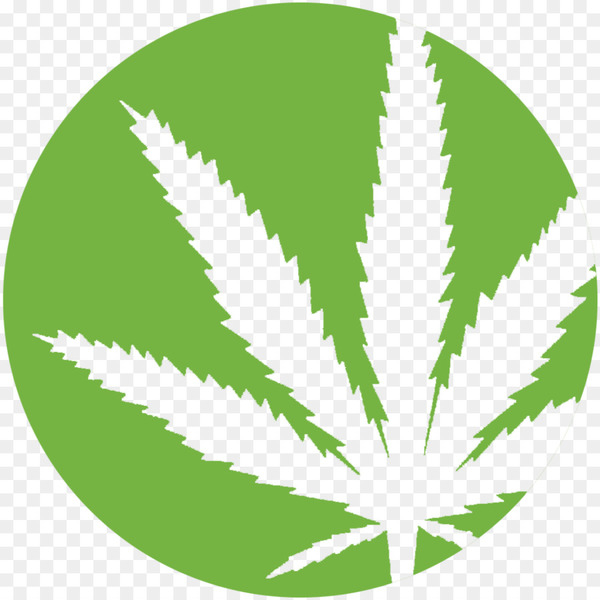 Free: Medical cannabis Leaf Clip art - cannabis - nohat.cc