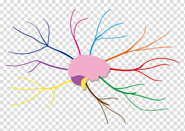 Free: Mind map Sketch, Color Radiation Brain Thinking Analysis ...