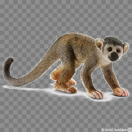 Free: Monkey PNG Image Transparent - nohat.cc