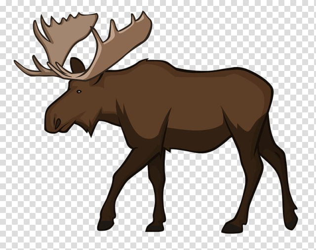 Free: Moose , Moose Reindeer Wildlife Animal, MOOSE transparent ...