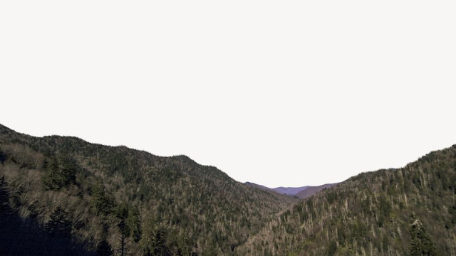 Free: Mountain forest border desktop wallpaper, | Free PSD - rawpixel ...