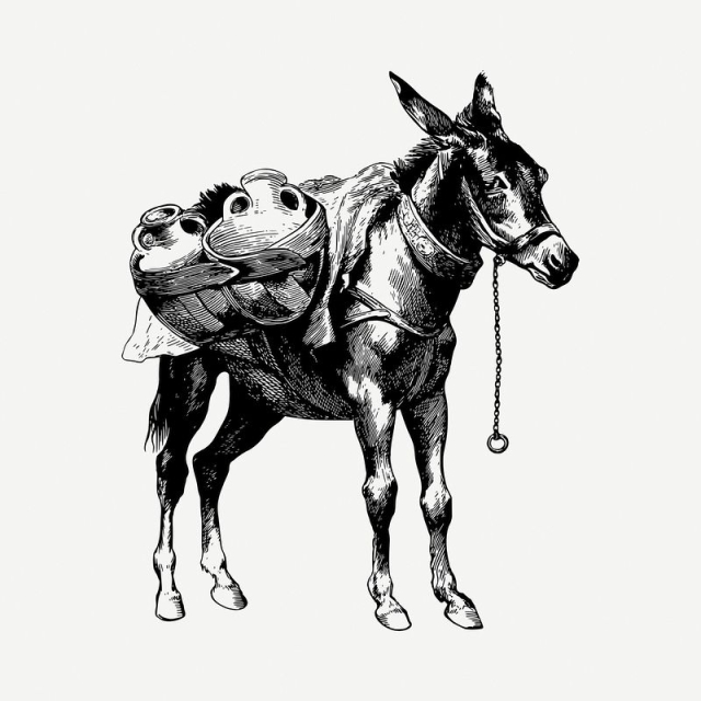 Free: Mule drawing, vintage illustration psd. | Free PSD - rawpixel ...