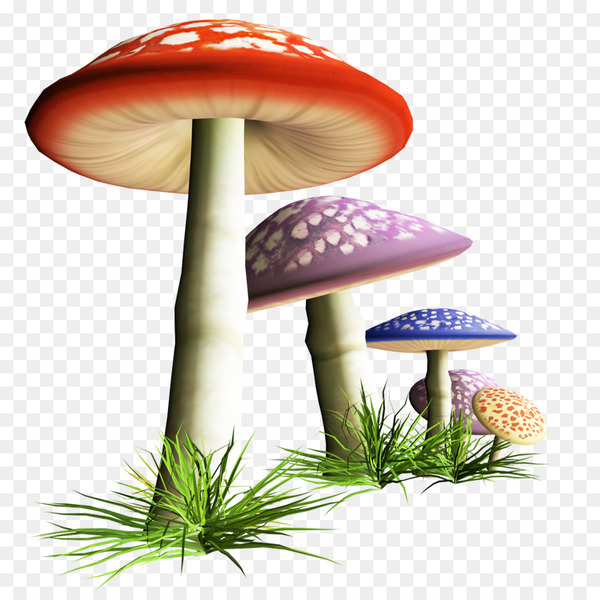 Free: Mushroom Fungus Clip art - mushroom - nohat.cc