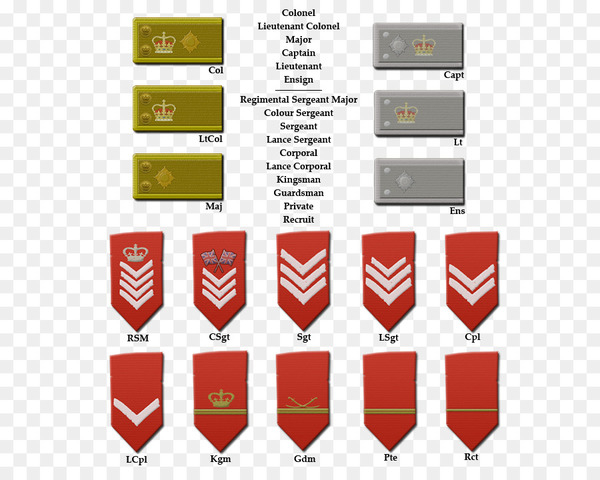 Free: Napoleonic Wars Military rank British Army officer rank insignia ...