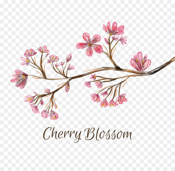 Free: National Cherry Blossom Festival - Ink and white cherry blossoms ...