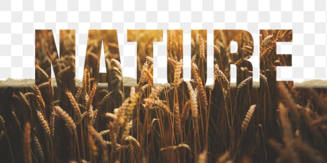 Free: Nature word png border sticker, | Free PNG - rawpixel - nohat.cc