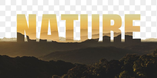 Free: Nature word png border sticker, | Free PNG - rawpixel - nohat.cc