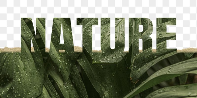 Free: Nature word png border sticker, | Free PNG - rawpixel - nohat.cc
