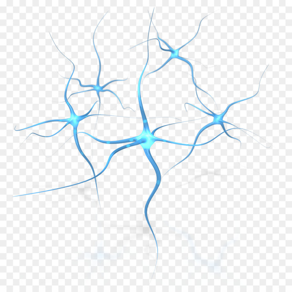 Free: Neuron Human brain Neuropsychology Clip art - neurons - nohat.cc