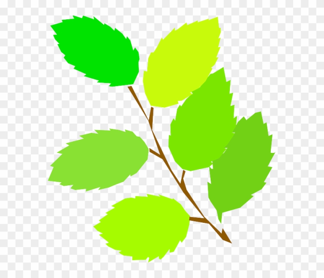 Free: New, Simple, Leaf, Tree, Cartoon, Spring, Branch, Free - Spring ...