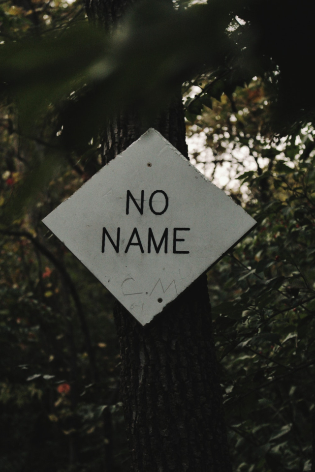 Free: No Name Signage - nohat.cc