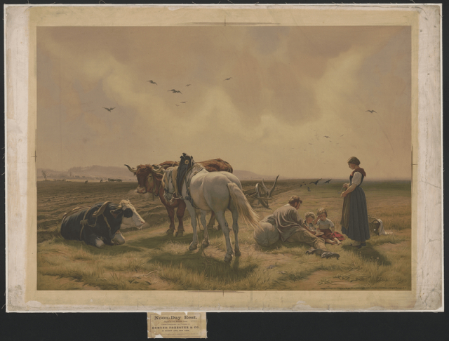 Free: Noon-day rest | Free Photo - rawpixel - nohat.cc