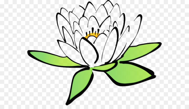 Free: Nymphaea Nelumbo, Drawing, Painting, Flower, Leaf PNG - nohat.cc