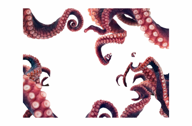 Free: octopus #tentacles - Octopus Tentacles Png Gif Free PNG Images ...