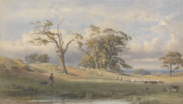 Free: Old British Camp in Bulstrode | Free Photo - rawpixel - nohat.cc