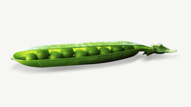 Free: Open pea pod collage element | Free PSD - rawpixel - nohat.cc