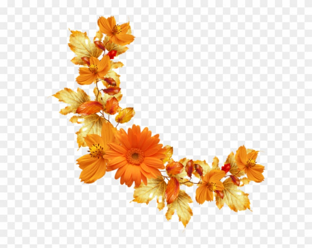Free: Orange Fl Border Png Image Background Png Arts - Orange Flower ...