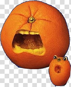 Free: Orange Stuff Vol , orange fruit transparent background PNG ...