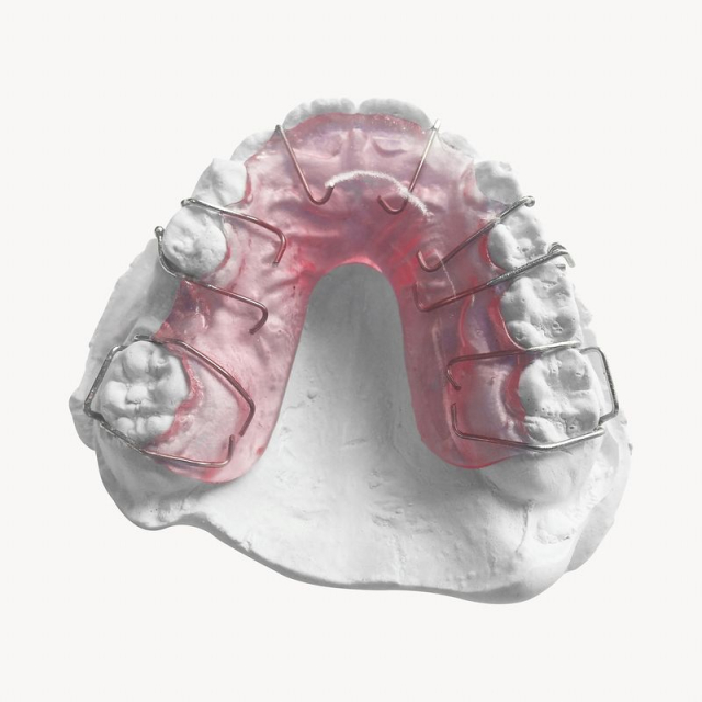 Free: Orthodontic retainer, isolated image design | Free Photo ...