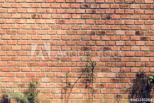 Free: Outdoor brick wall - nohat.cc
