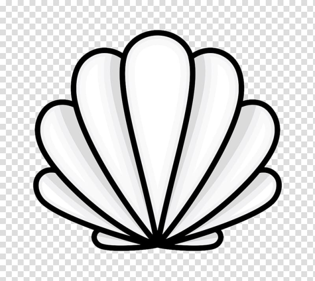 Free: Oyster Seashell Drawing Cartoon, White cartoon shells transparent ...