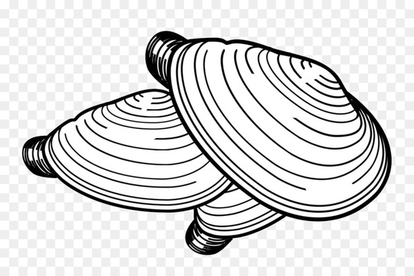 Free: Pacific razor clam Drawing Image Mussel - seashell - nohat.cc