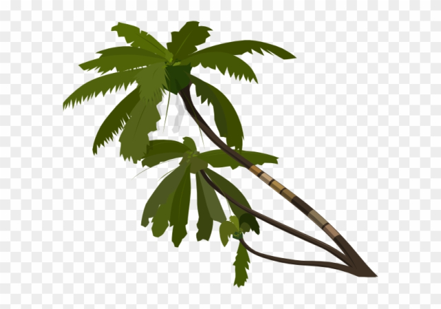 Free: Palm Tree Animation - nohat.cc