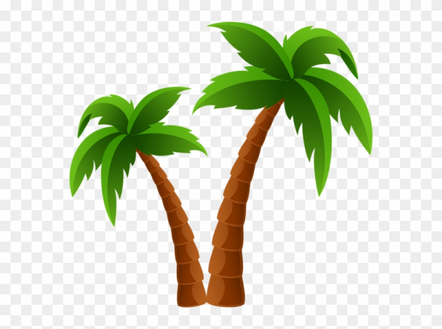 Palm Tree Coconut Clipart