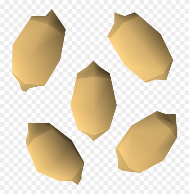 Free: Palm Tree Seed - Palm Tree Seed Osrs - nohat.cc