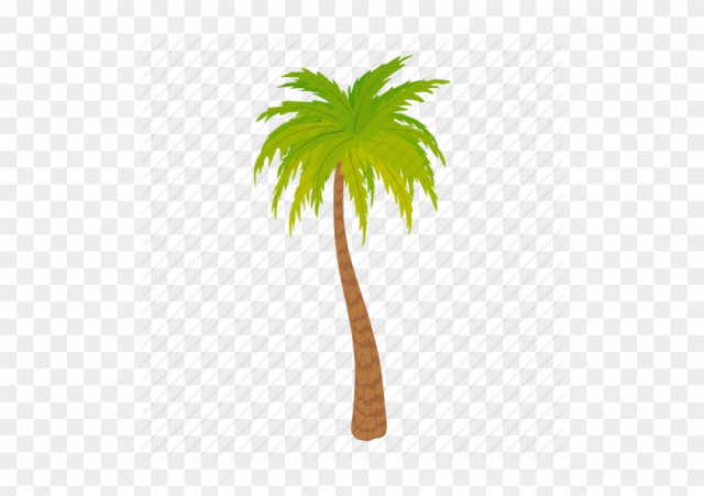 Free: Palm Trees Cartoon - Palm Tree Vector - nohat.cc