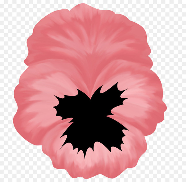 Free: Pansy, Kappa Alpha Theta, Pansy Pansy, Pink, Hawaiian Hibiscus ...