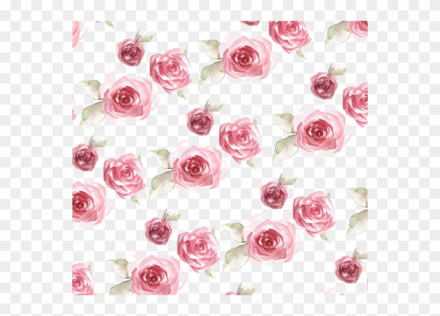 Free: Paper Rose Flower Pattern - Rose Print - nohat.cc