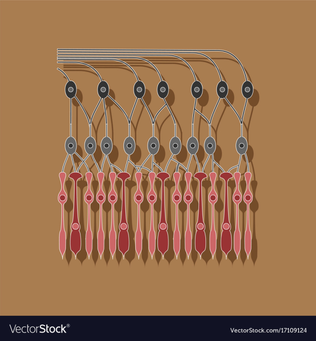 Free: Paper sticker on stylish background structure vector image - nohat.cc