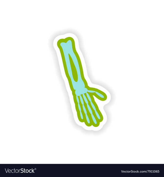 Free: Paper sticker on white background arm bone vector image - nohat.cc