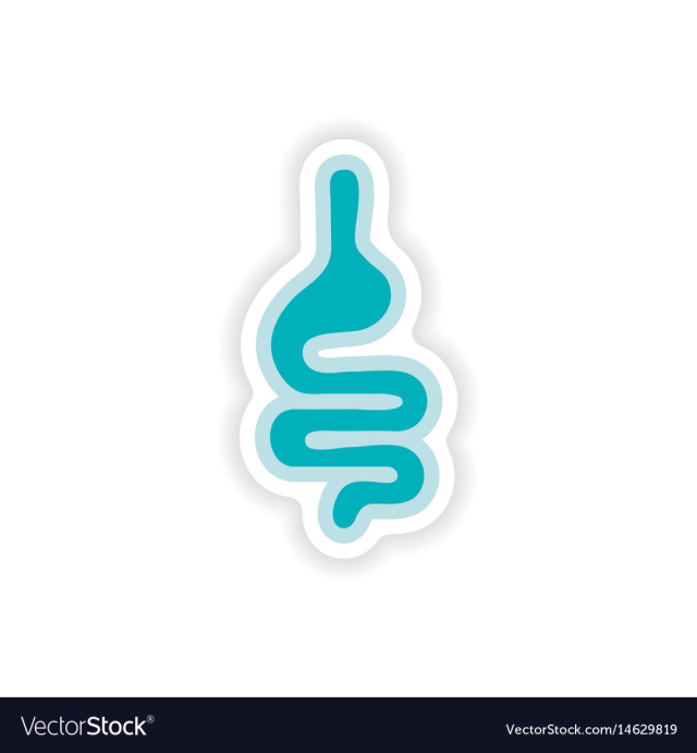 Free: Paper sticker on white background human intestine vector image ...