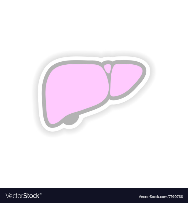 Free: Paper sticker on white background human liver vector image - nohat.cc