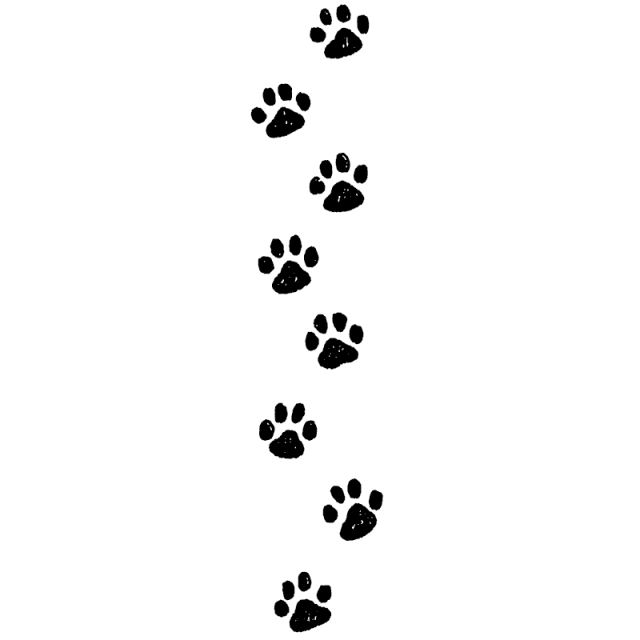 Free: Paw Print Border - DD10436 - nohat.cc