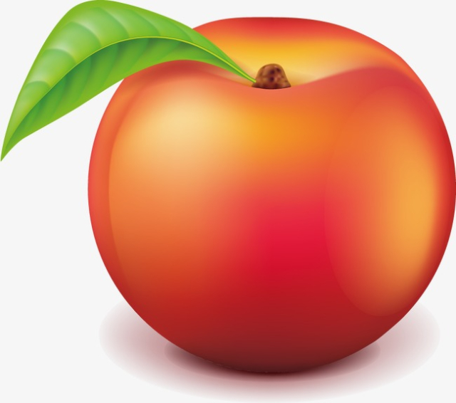 Free: Peach, Fruit, Peach Vector PNG and Vector with Transparent ...