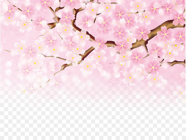 Free: Peach Fundal Pink Poster - Pink cherry blossoms - nohat.cc