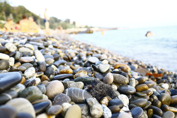 Free: Pebbles By The Seashore - nohat.cc