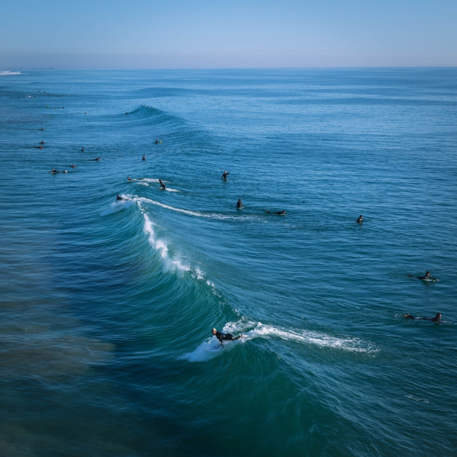 Free: People Surfing in Ocean Waves - nohat.cc