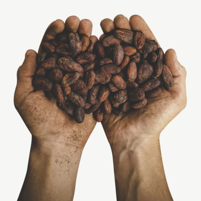 Free: Person holding cocoa beans collage | Free PSD - rawpixel - nohat.cc