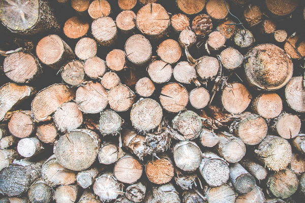 Free: Photo of a Pile of Logs - nohat.cc