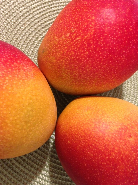 Free: Photo of Ripe Mangoes - nohat.cc