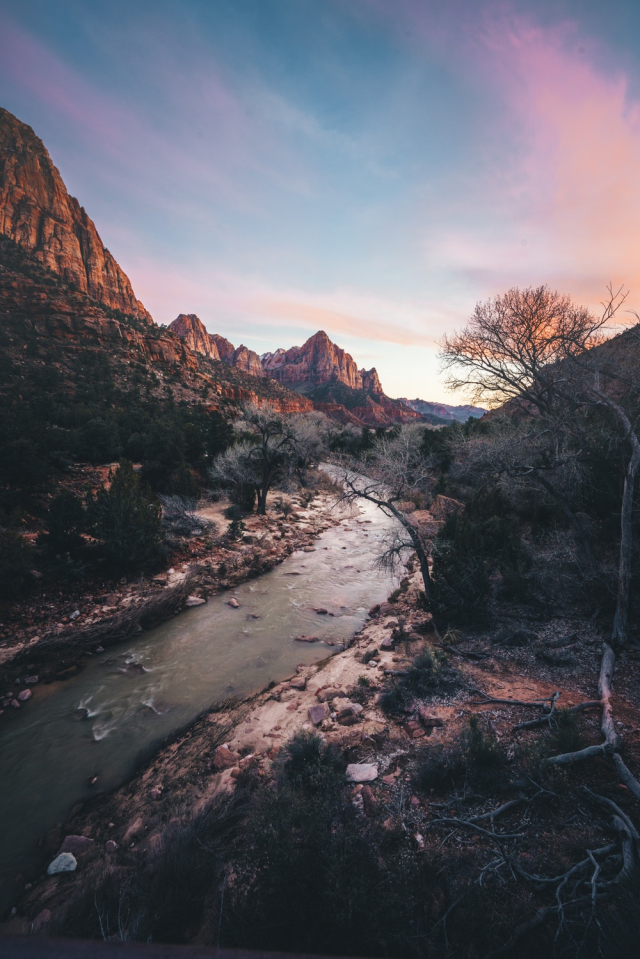 Free: Photo of River Near Trees - nohat.cc