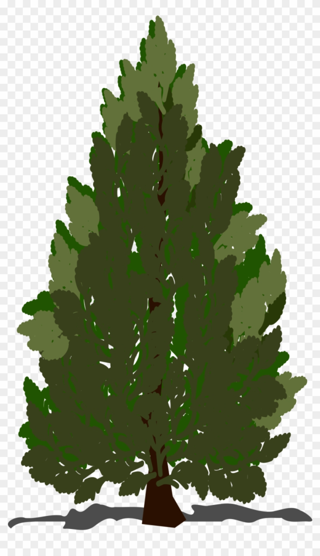 Free: Pine Tree Clipart Swamp Tree - Clip Art Pine Tree - nohat.cc